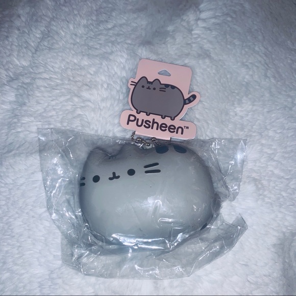 Pusheen | Accessories | Pusheen Keychain | Poshmark
